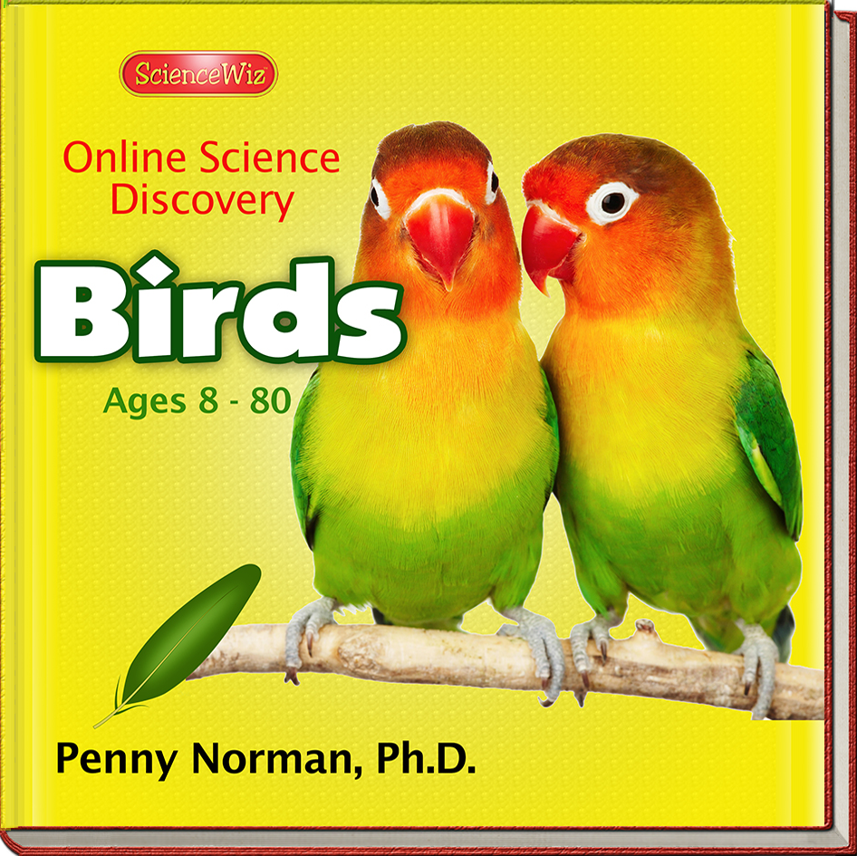 LibraryTalkingBooks – ScienceWiz